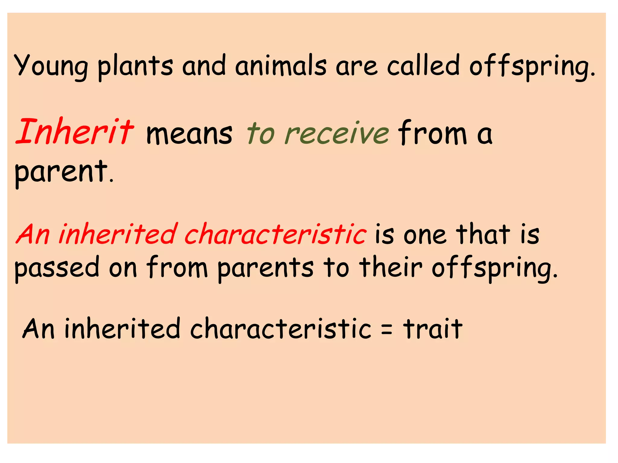 Offspring like their parents | PPT