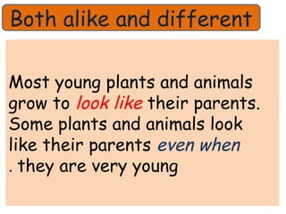 Offspring like their parents | PPT