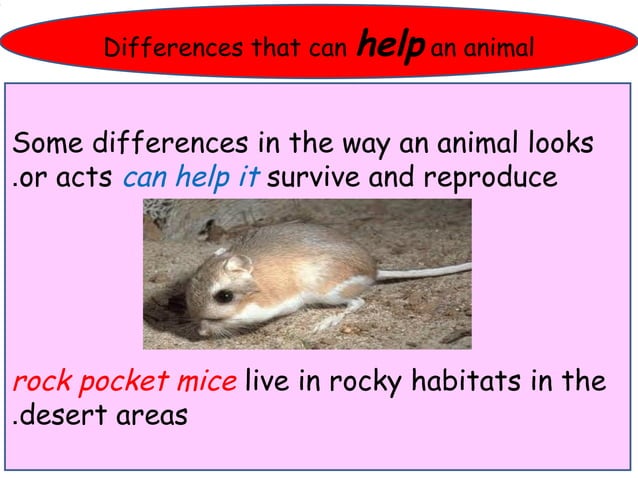 Offspring like their parents | PPT