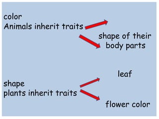 Offspring like their parents | PPT