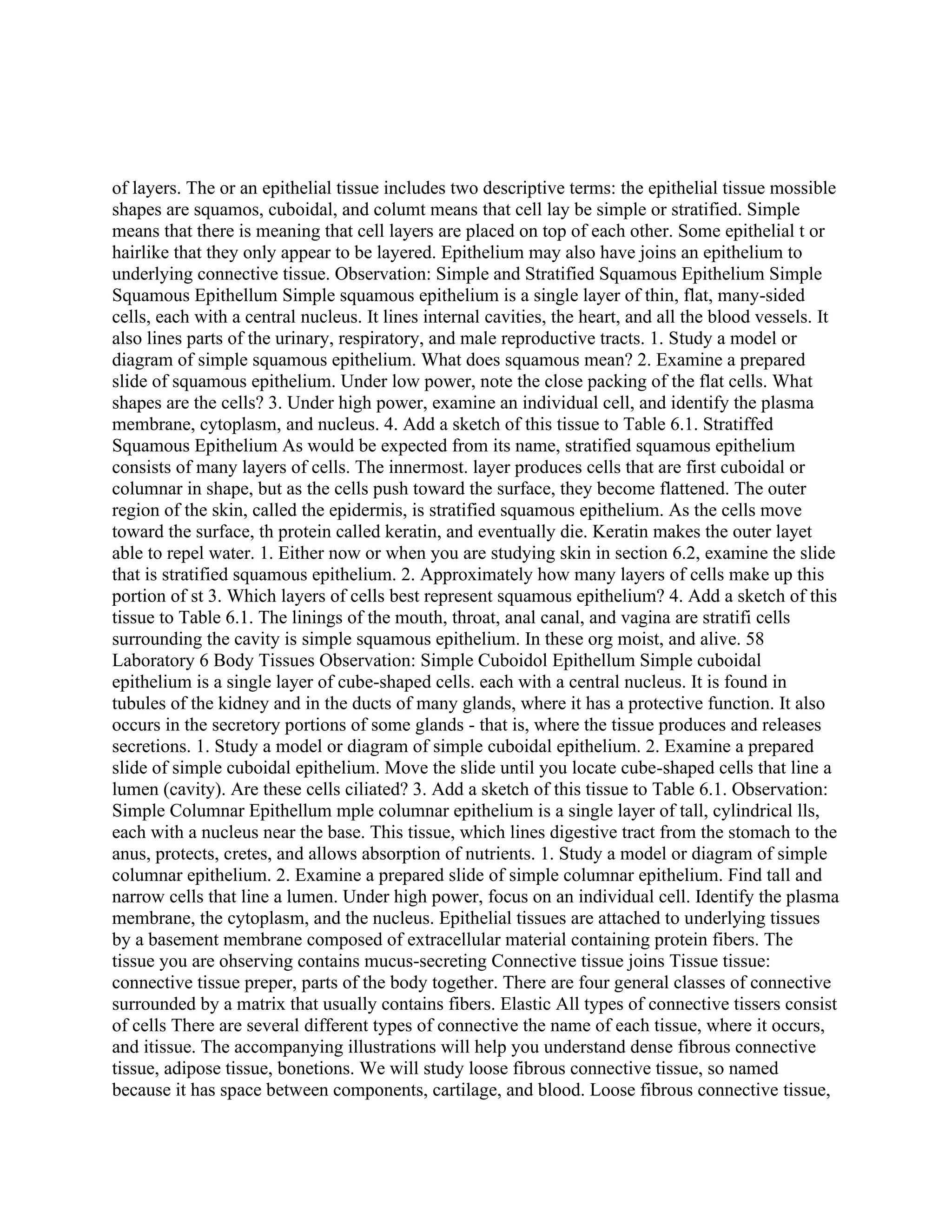 of layers- The or an epithelial tissue includes two descriptive terms-.pdf