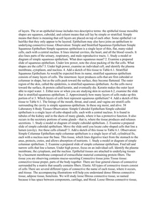 of layers- The or an epithelial tissue includes two descriptive terms-.pdf