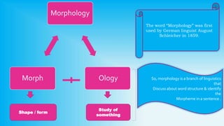 Of morphology.... #a study about morphology. (Slideshare presentation ...