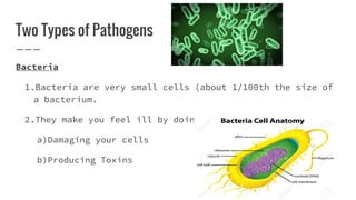 AQA Biology 1A Fighting Disease | PDF