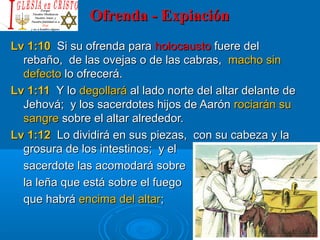 Ofrenda expiación | PPT