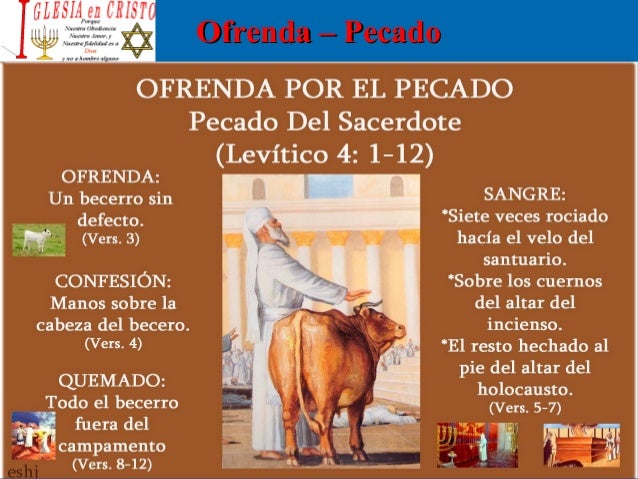 Ofrenda por el pecado