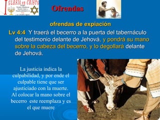 Ofrendas | PPT