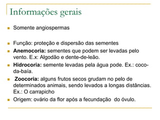 O fruto - About The Fruits | PPTX