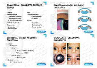 OFTALMOLOGIA_1_UMEDIC_2024_Alumno_2x2.pdf
