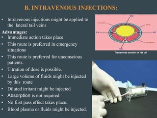 Routes of drug administration Dr.NITIN | PPTX