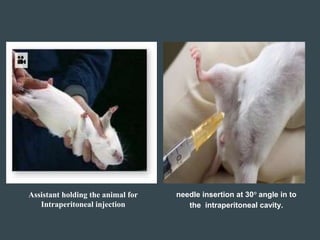 Routes of drug administration Dr.NITIN | PPTX