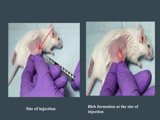 Routes of drug administration Dr.NITIN | PPTX