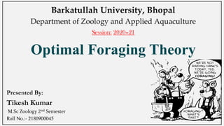 Optimal Foraging Theory (OFT) | PDF
