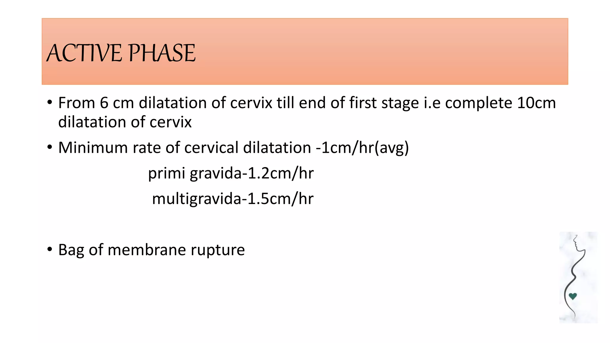 LABOR AND ITS STAGES | PPTX