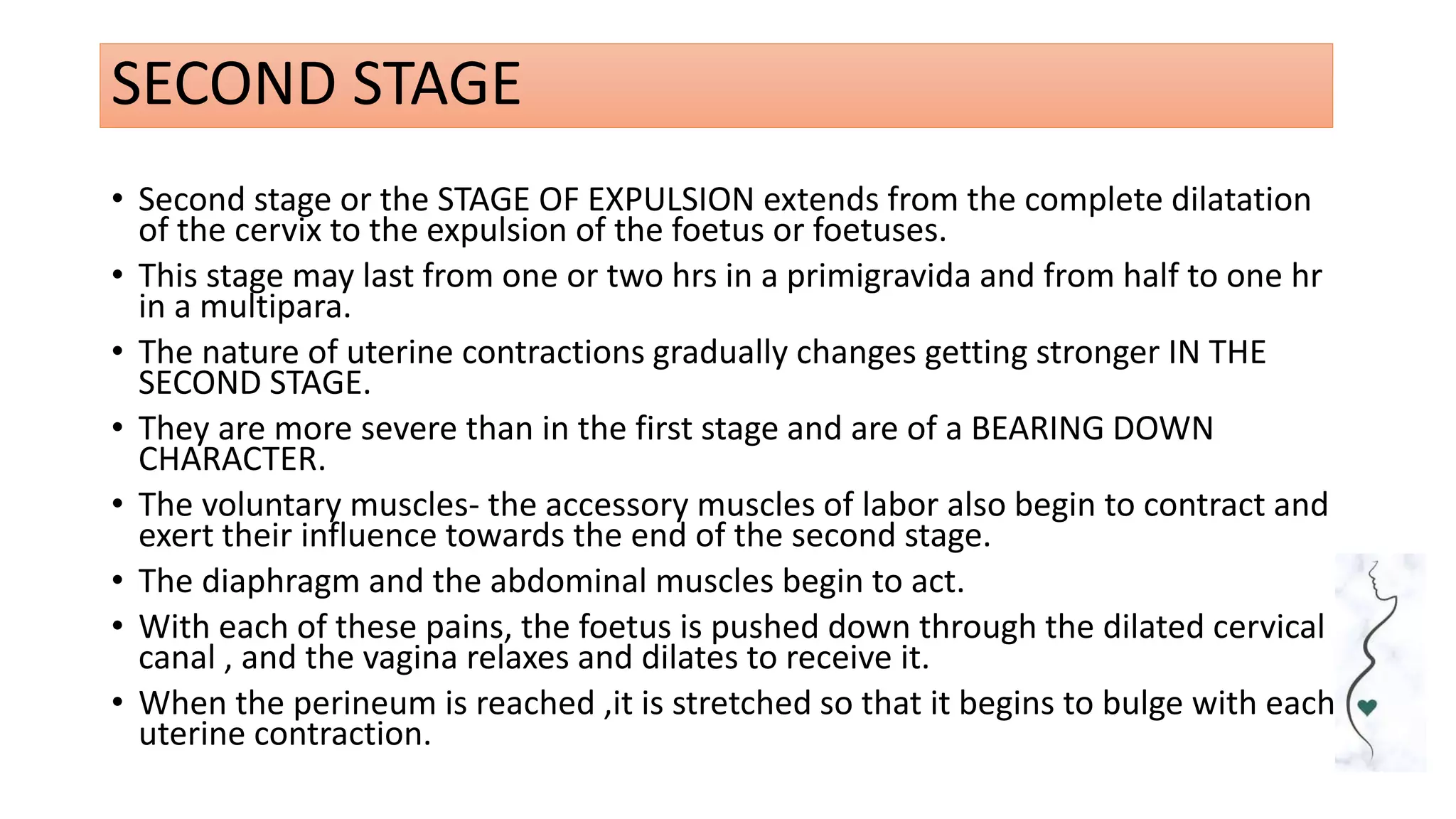 LABOR AND ITS STAGES | PPTX