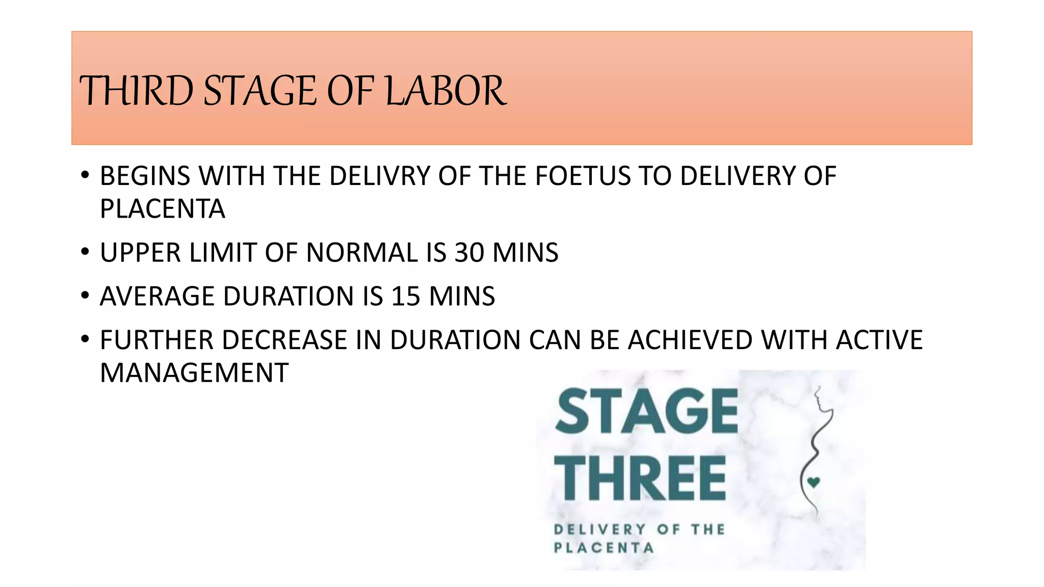 LABOR AND ITS STAGES | PPTX