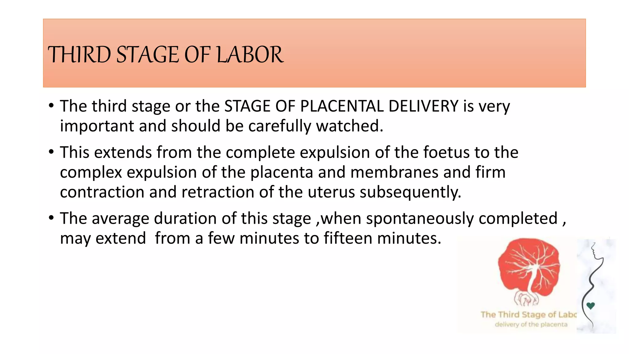 LABOR AND ITS STAGES | PPTX