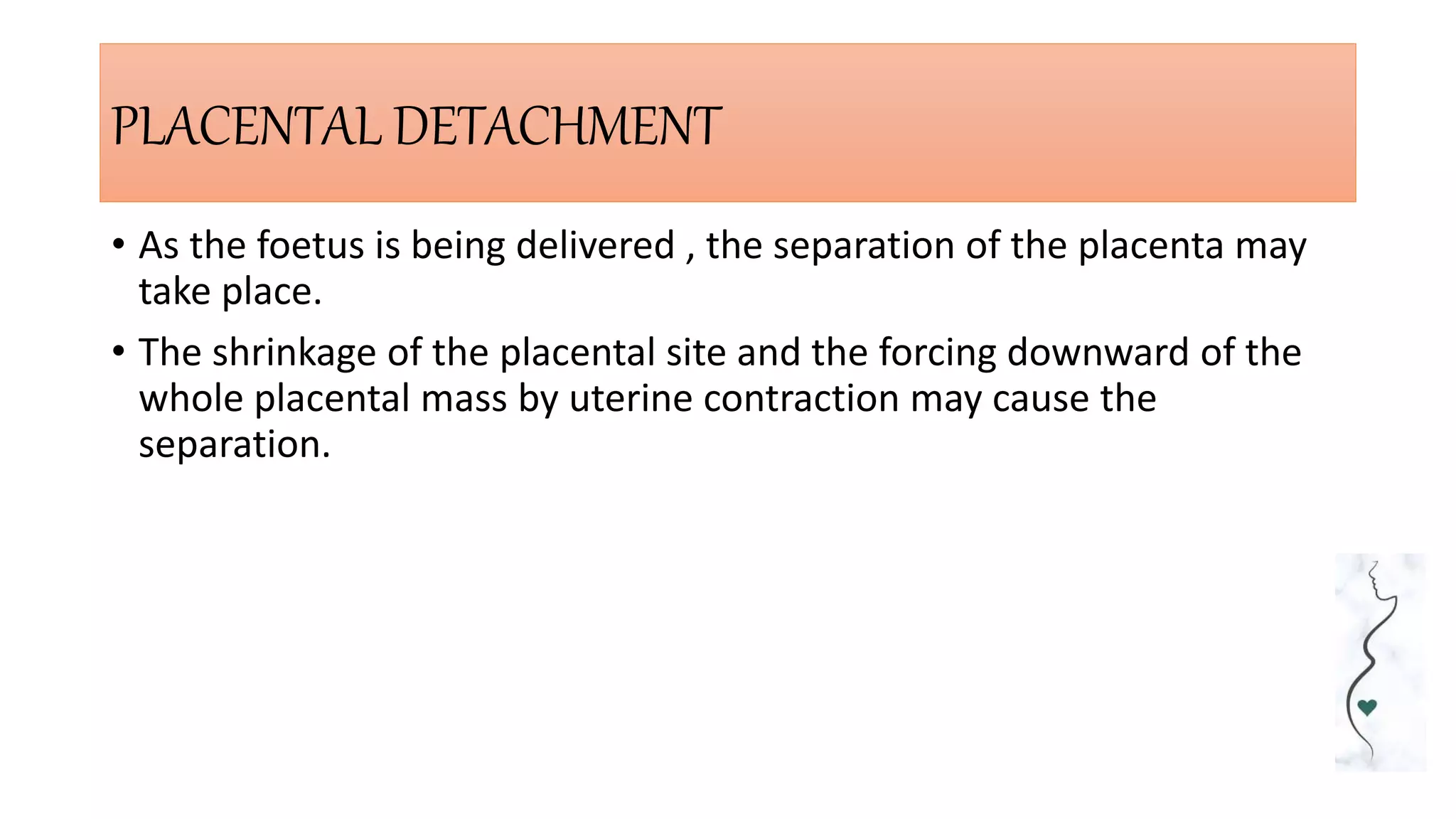 LABOR AND ITS STAGES | PPTX