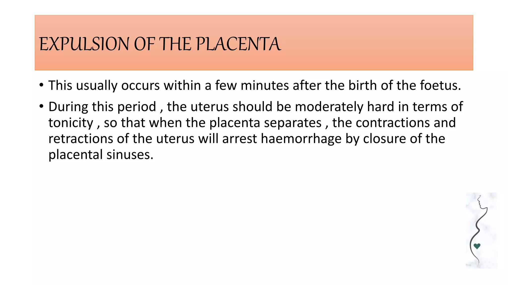 LABOR AND ITS STAGES | PPTX