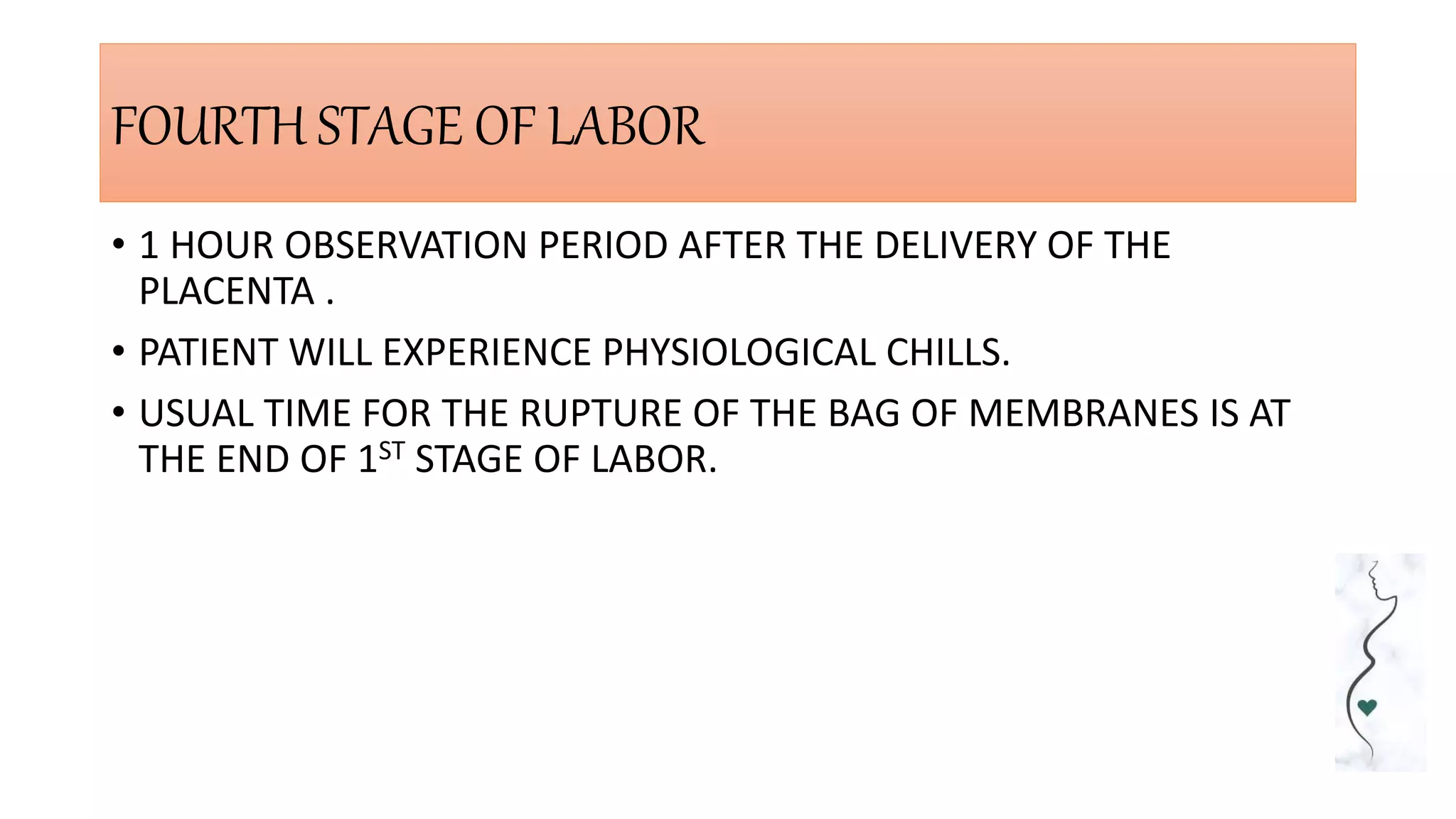 LABOR AND ITS STAGES | PPTX