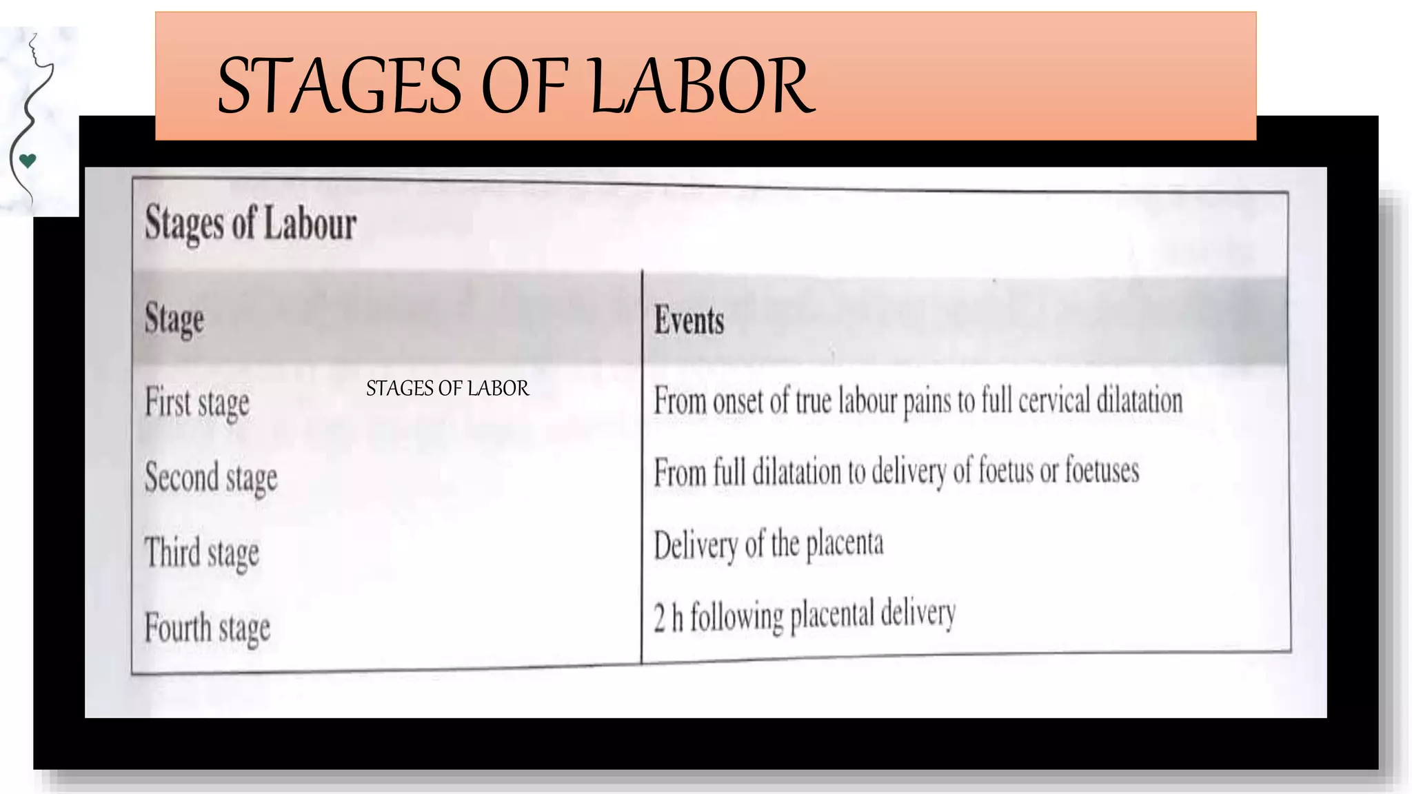 LABOR AND ITS STAGES | PPTX