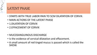 LABOR AND ITS STAGES | PPTX