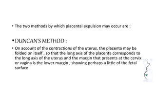 LABOR AND ITS STAGES | PPTX