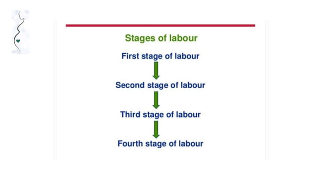 LABOR AND ITS STAGES | PPTX