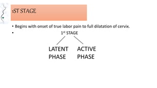 LABOR AND ITS STAGES | PPTX