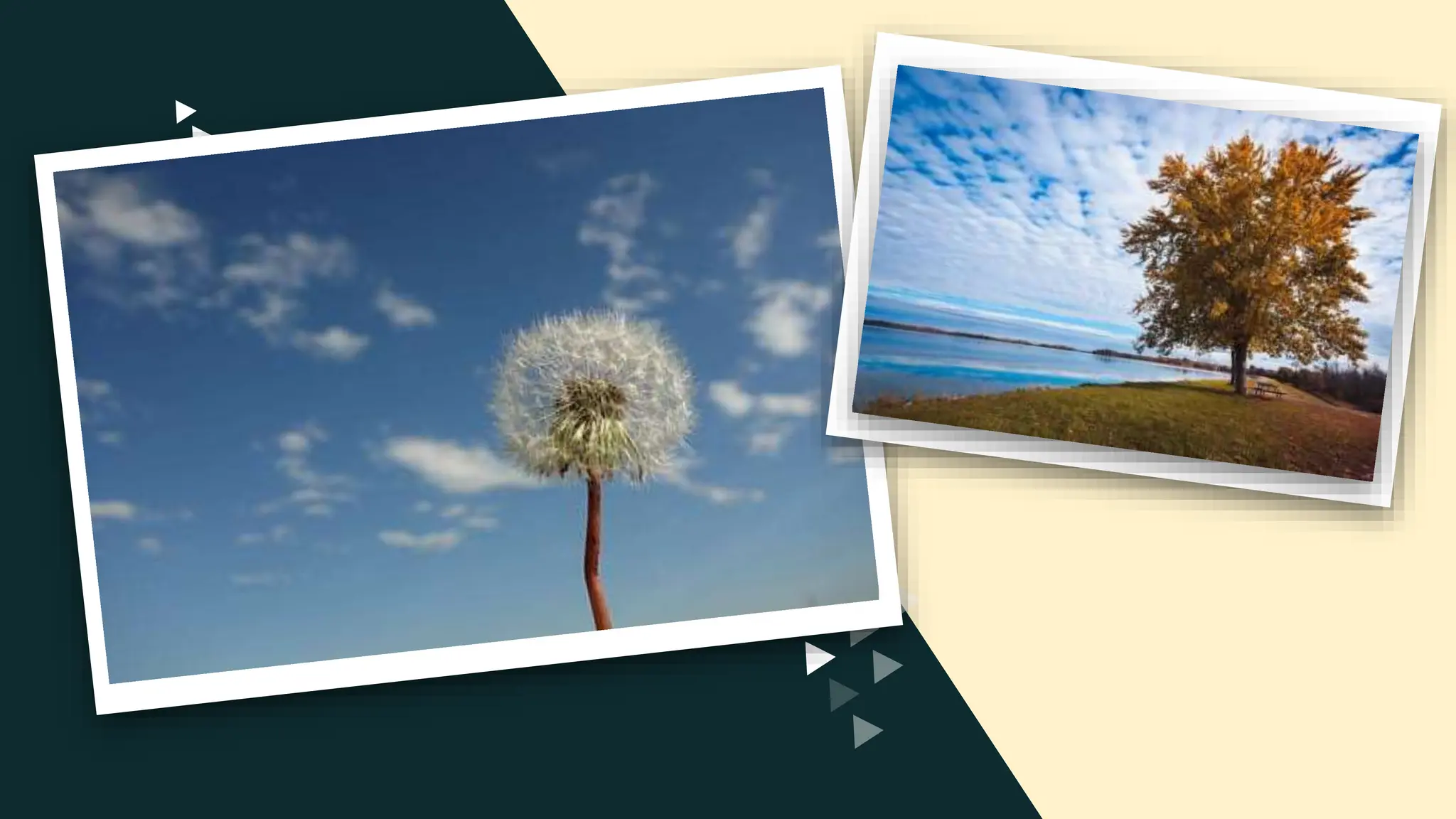 Middle school rule of thirds in photography | PPTX