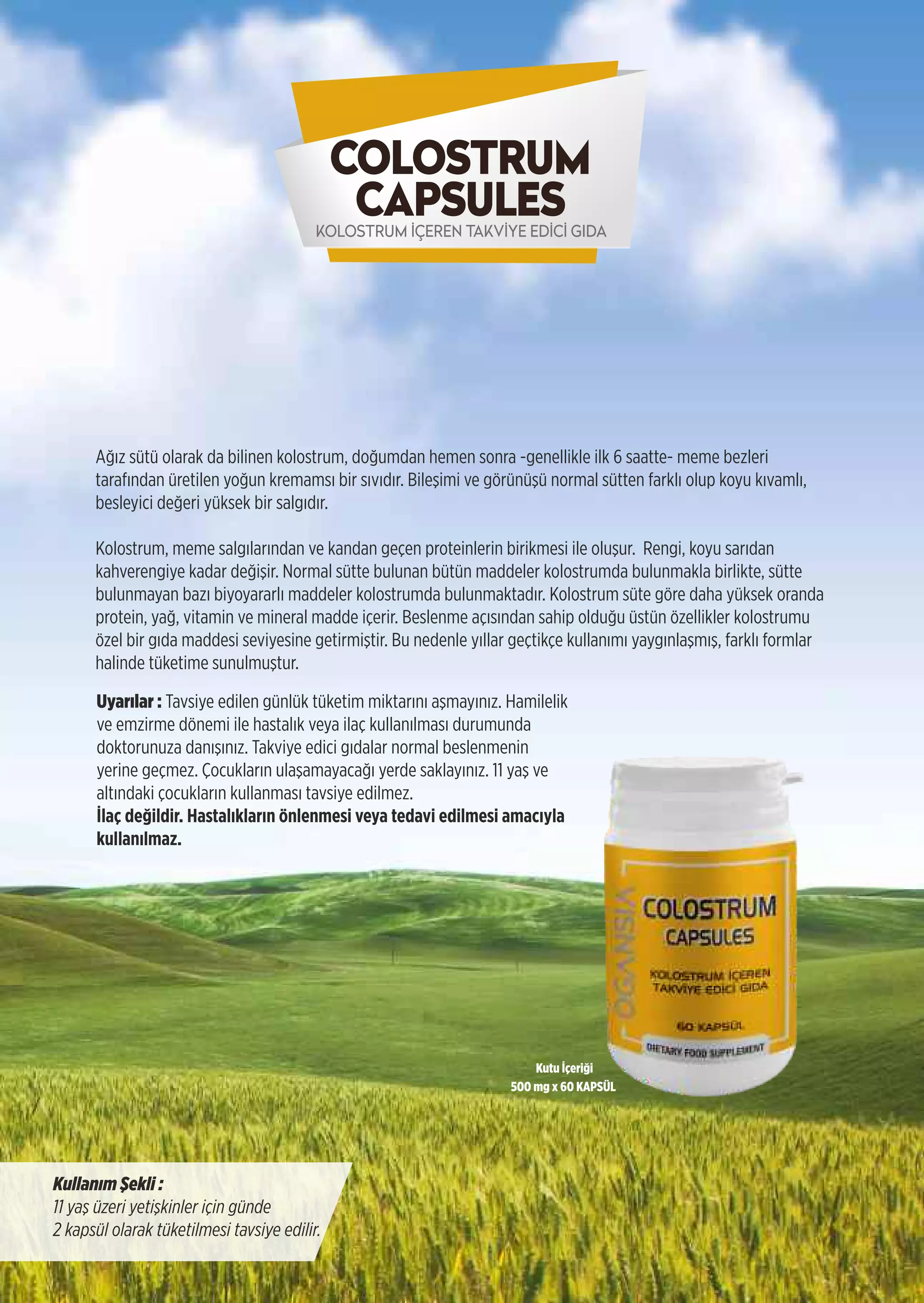 Ogansia Urun ve Is Gelistirme Katalogu | PDF