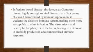 INFECTIOUS-BURSAL- a diseases of avians.pptx