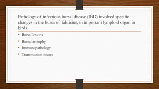 INFECTIOUS-BURSAL- a diseases of avians.pptx