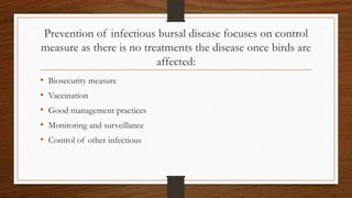 INFECTIOUS-BURSAL- a diseases of avians.pptx