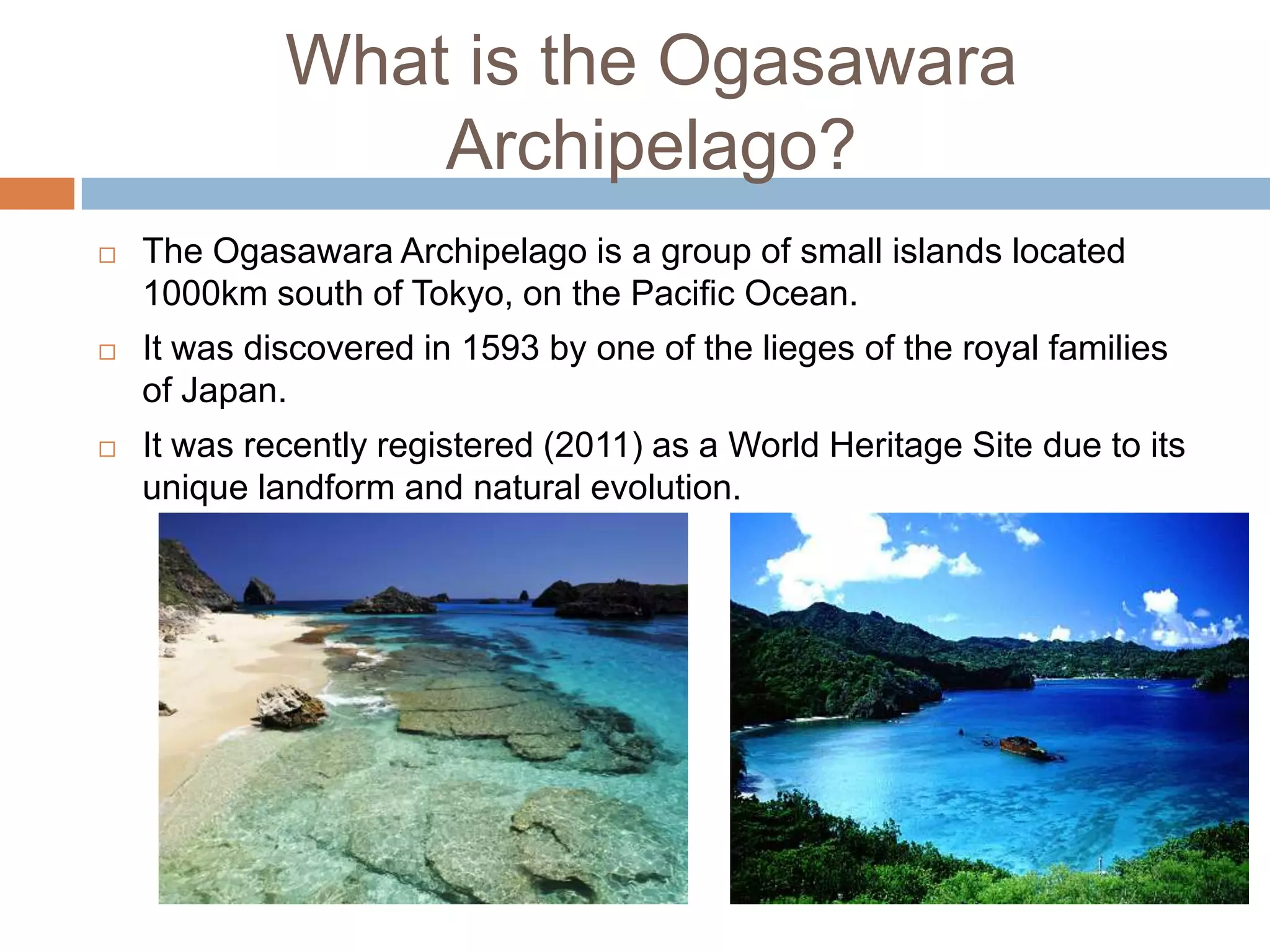 Ogasawara archipelago ( leiya Salis ) | PPT