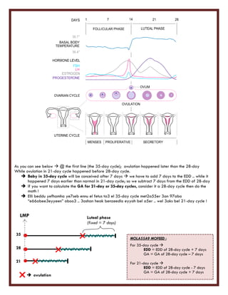 O&g examination | PDF