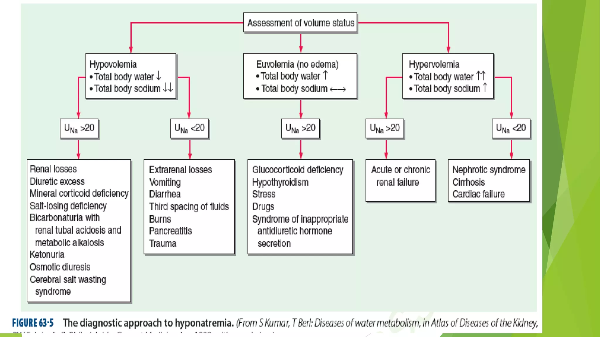 SODIUM HOMEOSTASIS | PPTX