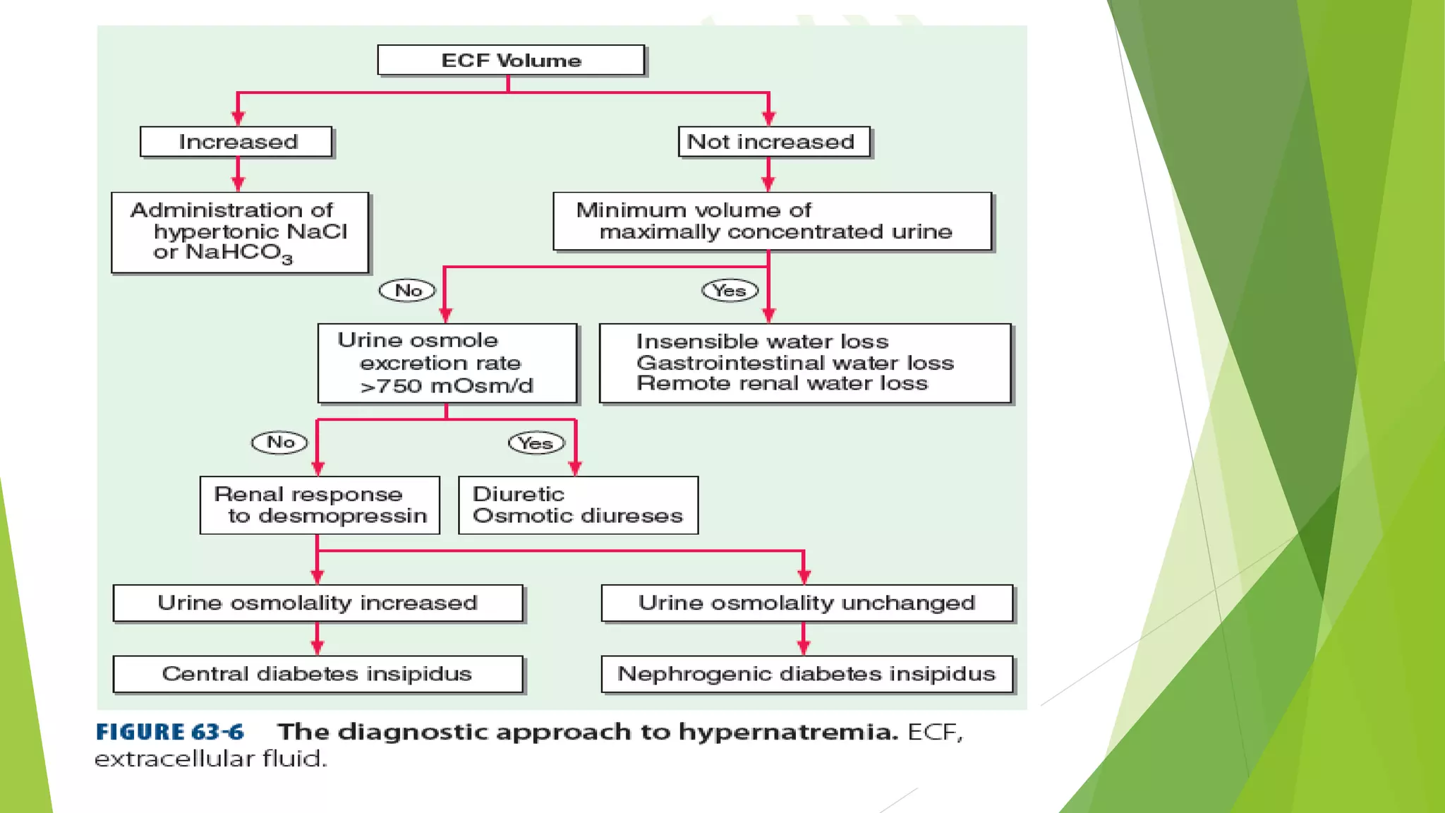 SODIUM HOMEOSTASIS | PPTX