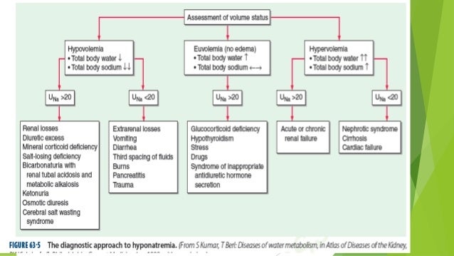 SODIUM HOMEOSTASIS