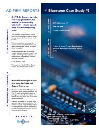 Advertising Agency Case Study | PDF