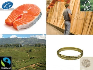 OgilvyEarth Webinar: From Greenwash to Great | PDF