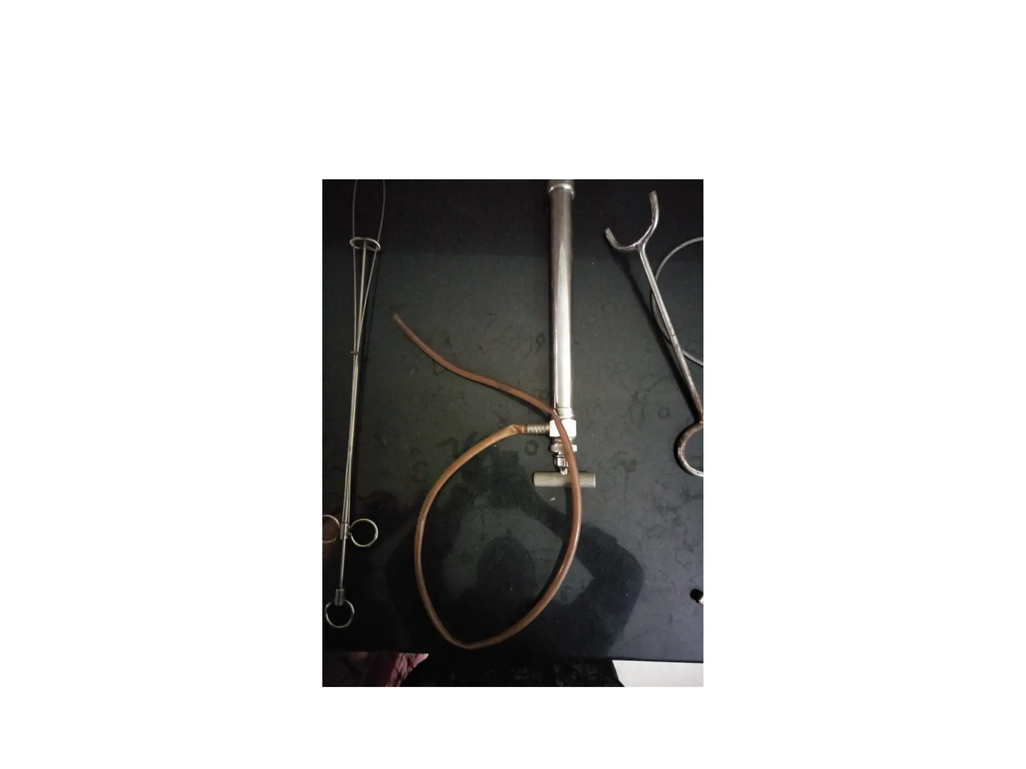 og instruments used In veterinary gynecology and medicine | PPTX