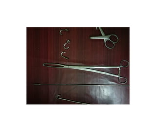 og instruments used In veterinary gynecology and medicine | PPTX