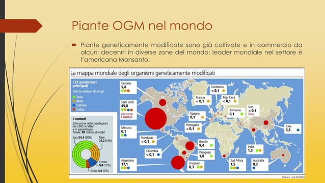 Gli Ogm | PPTX