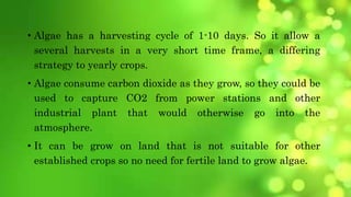 fuel for future : algae biofuel | PPTX
