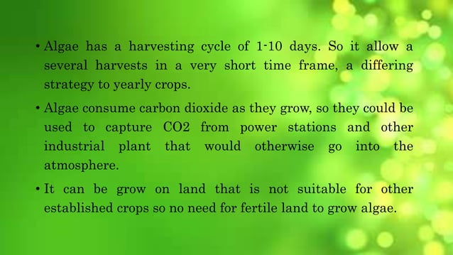 fuel for future : algae biofuel | PPT