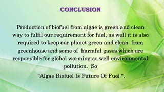 fuel for future : algae biofuel | PPT
