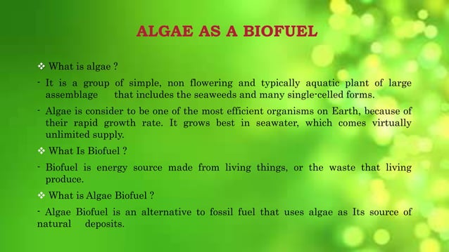 fuel for future : algae biofuel | PPT