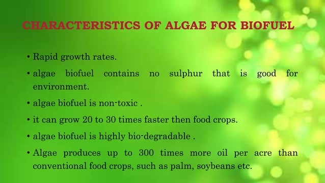 fuel for future : algae biofuel | PPT