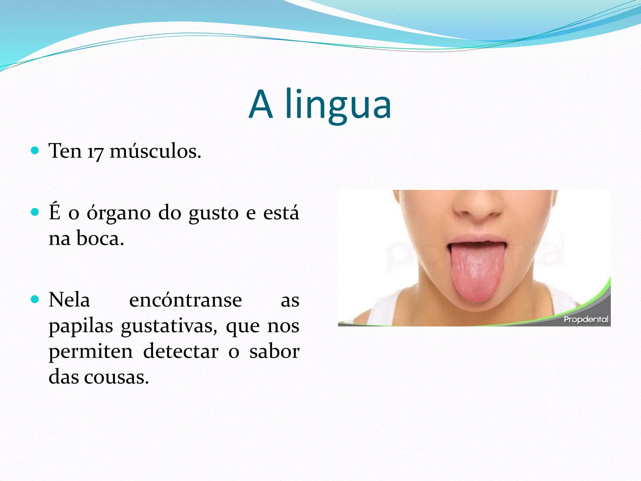 O gusto | PPT